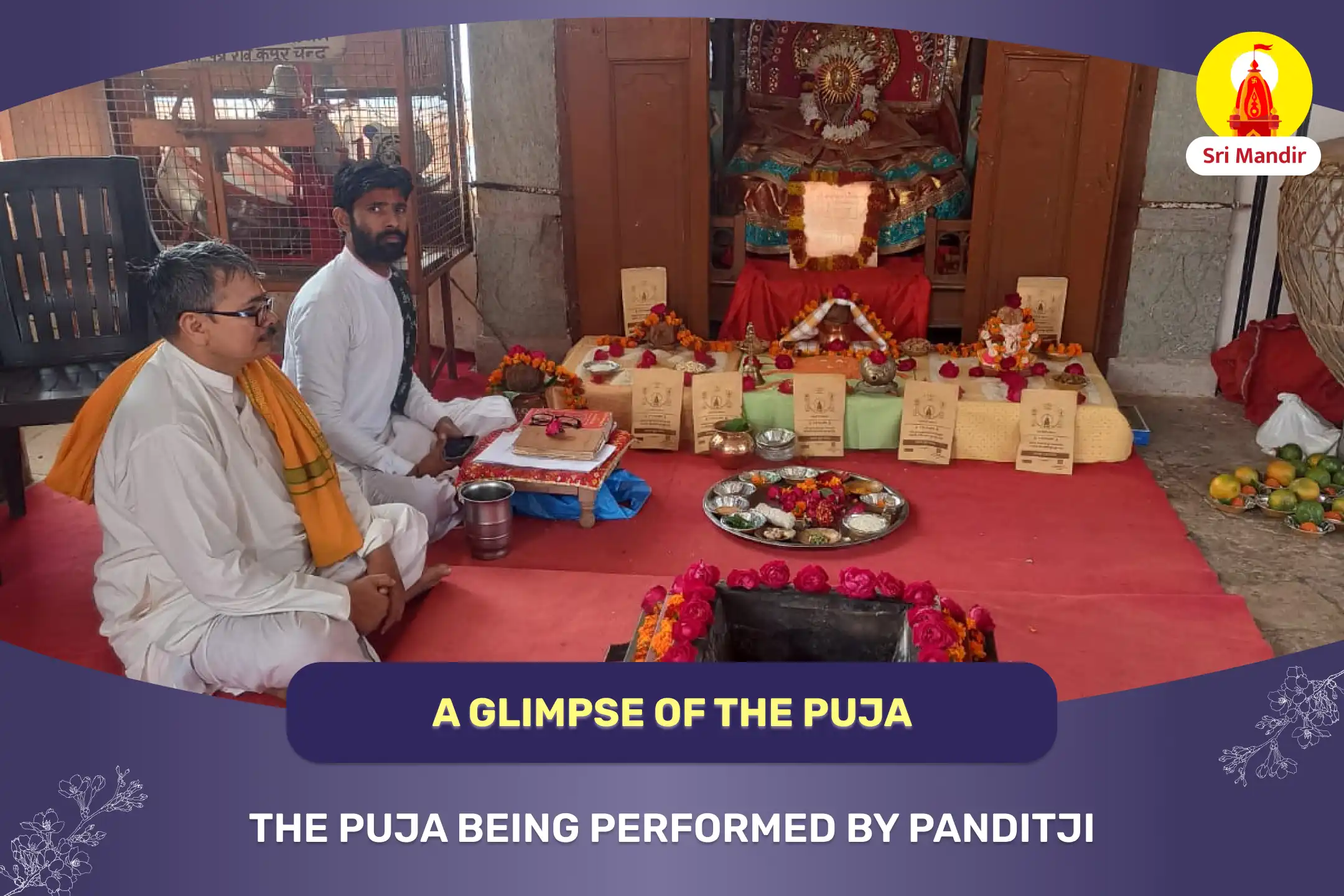 Darsha Amavasya Special Rahu Surya Grahan Dosha Mukti Puja and ...