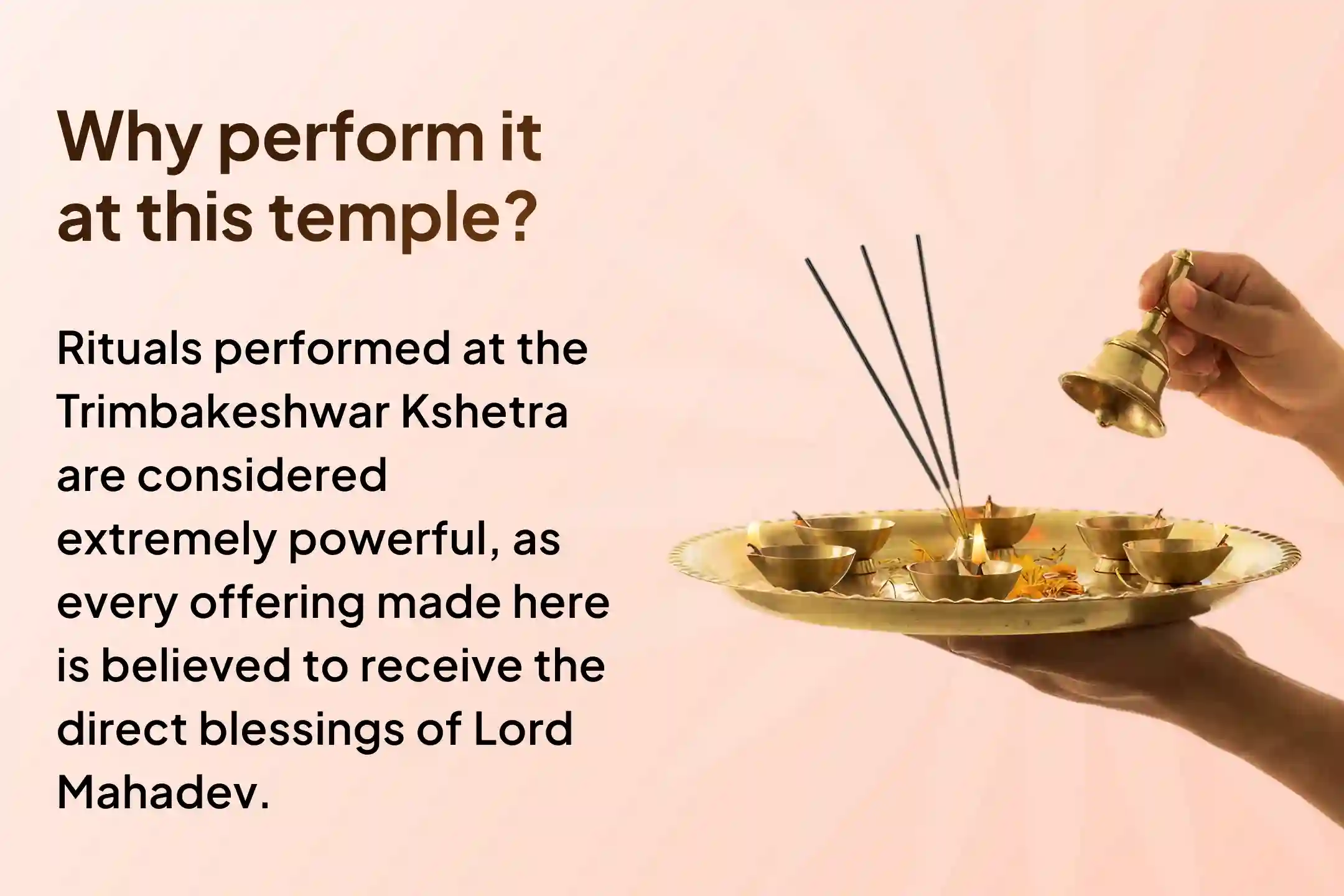 🔱 Found Kaal Sarp Dosha in your chart? This Trimbakeshwar Kshetra Kaal ...